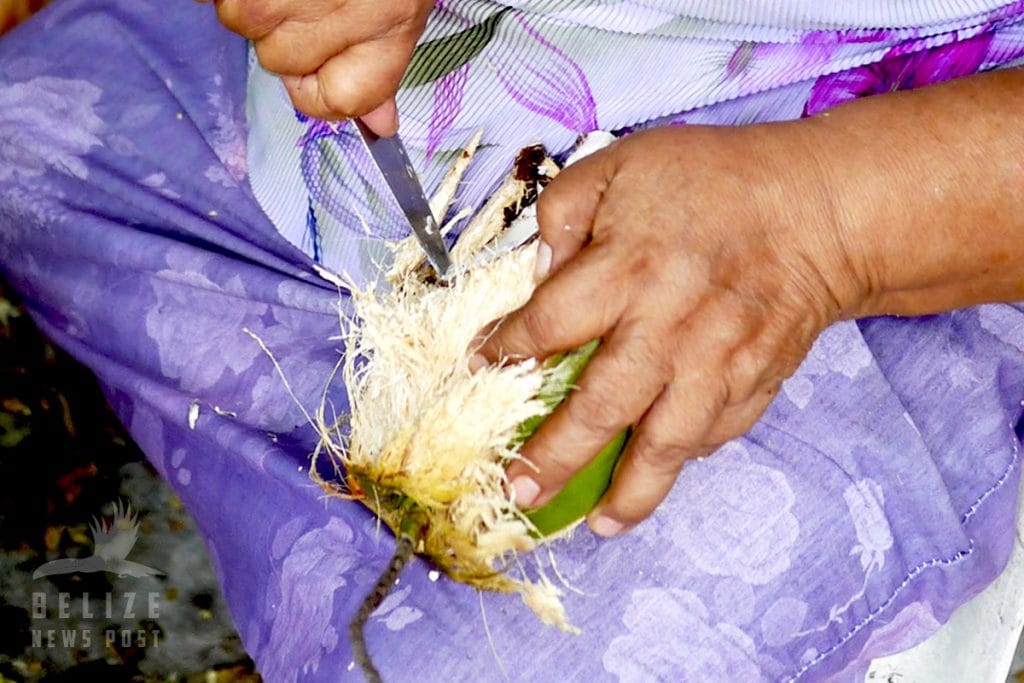 Belizean Coconut Crusts Recipe - Belize News Post - Belize Food