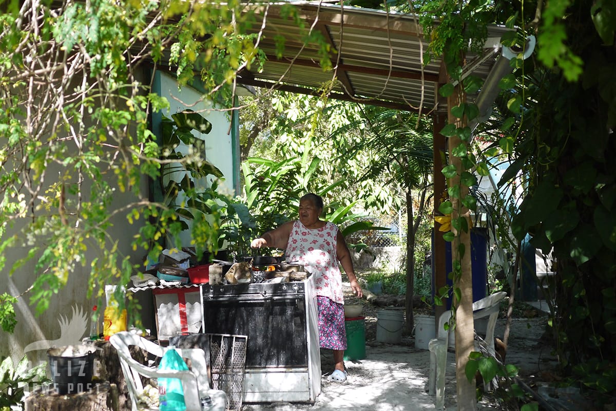 Belizean Fried Red Snapper Recipe - Belize News Post