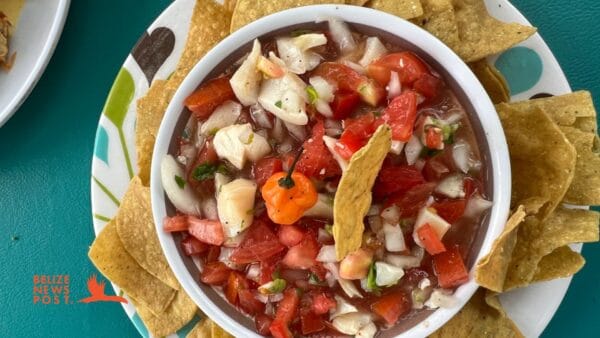 Belizean Conch Ceviche Recipe - Belize News Post