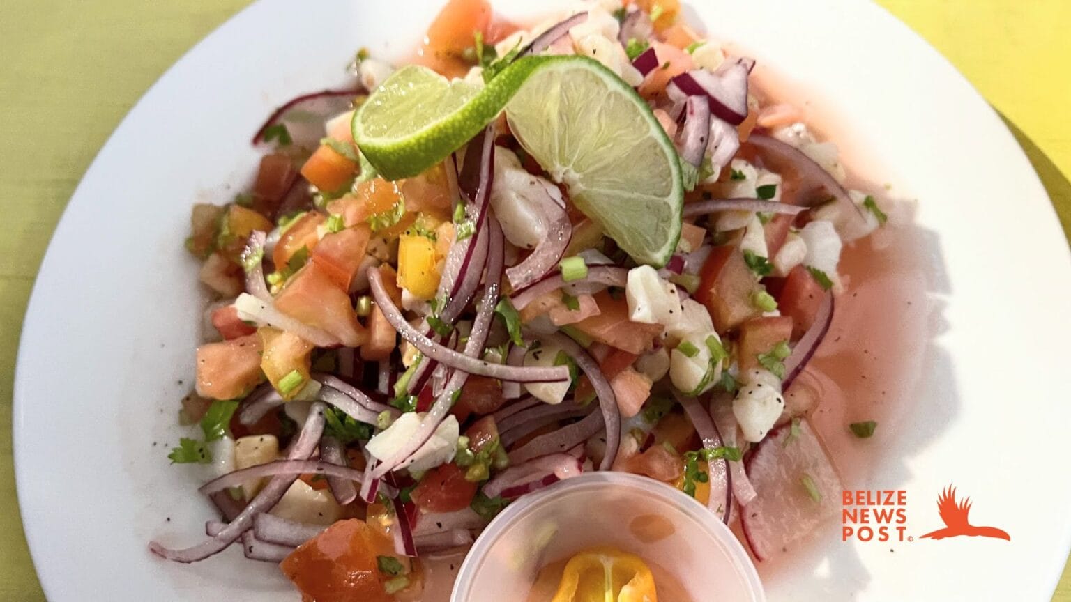 Belizean Conch Ceviche Recipe - Belize News Post