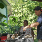 Garnachas Guatemaltecas - Belize News Post