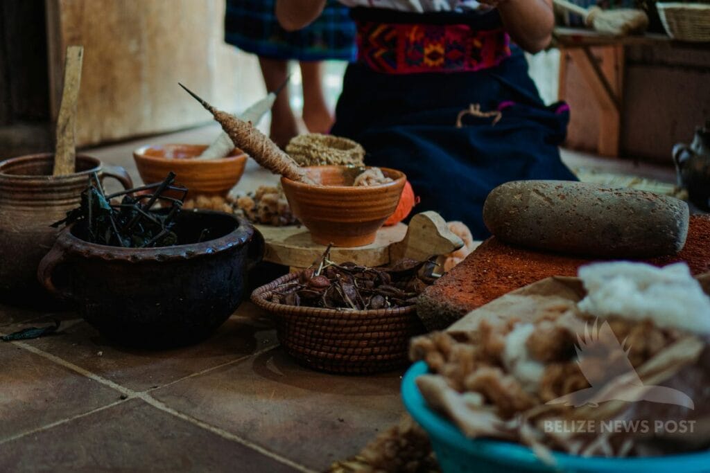 Mayan Recipes — Living Food Traditions of the Maya