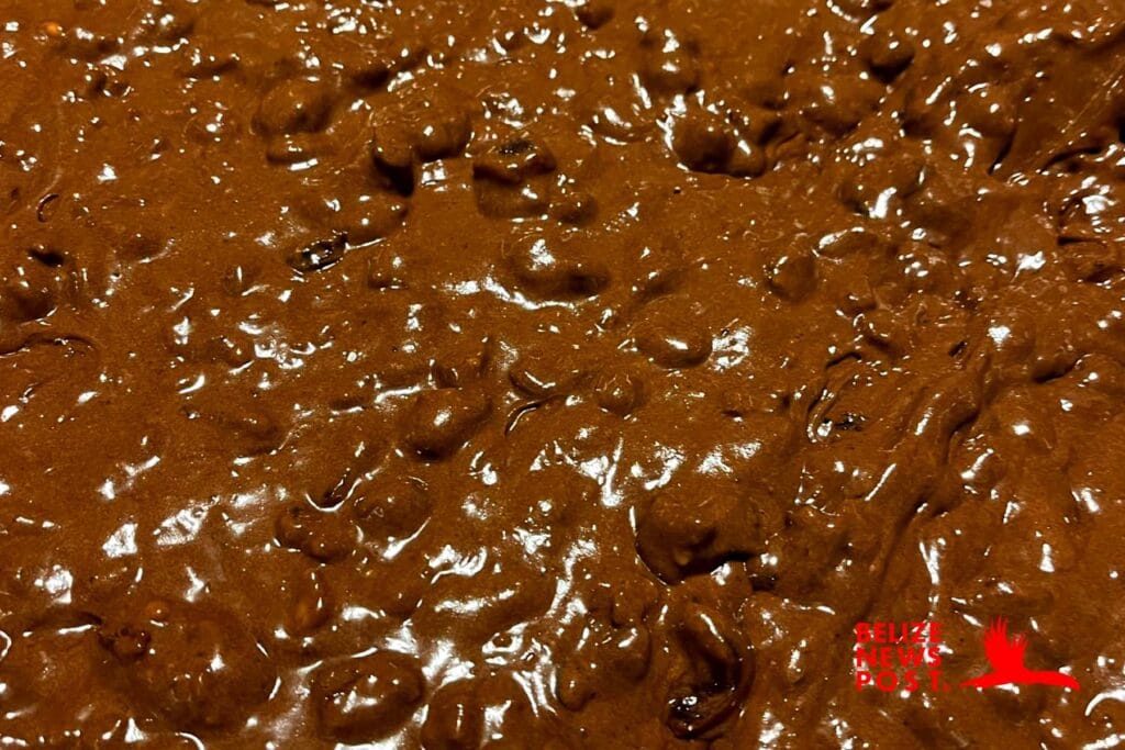 Belizean Black Fruit Cake Recipe