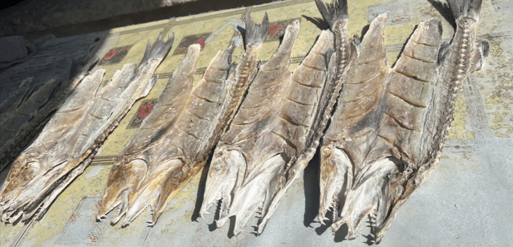 Fish & Seafood in Belize - Belize News Post
