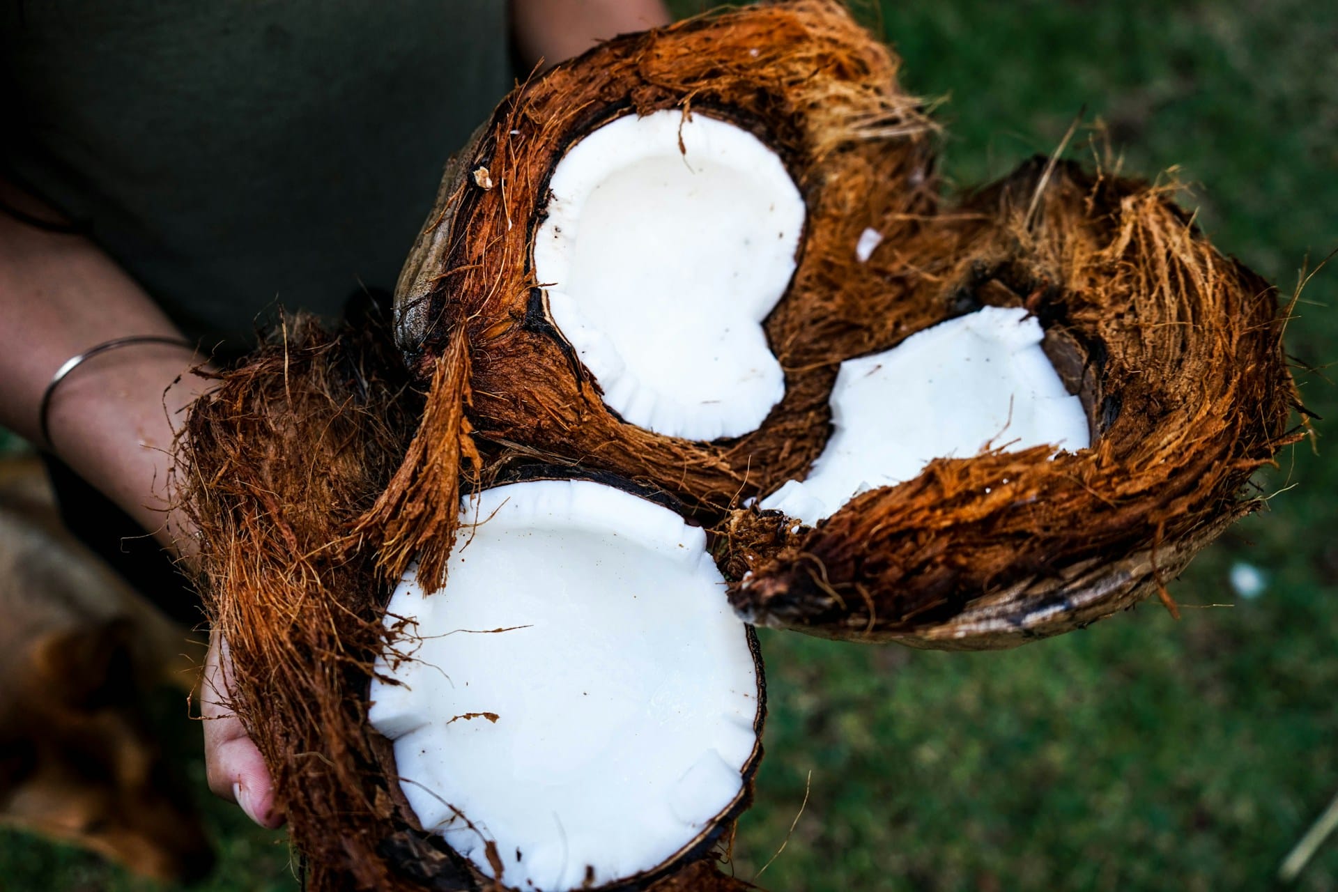Belizean Coconut Ideal Recipe - Belize News Post